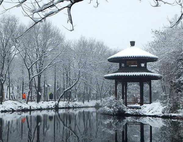 Hangzhou one day tour in Winter:Xixi National Wetland Park,Hangzhou ...