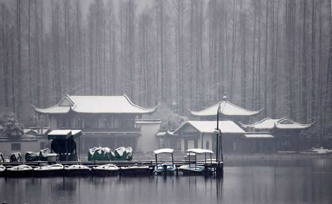 Hangzhou one day tour in Winter:Xixi National Wetland Park,Hangzhou ...