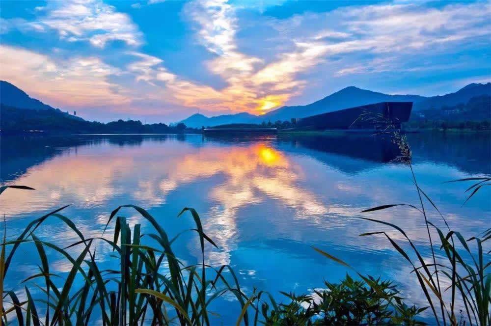 Xianghu Lake Bicycle Tour & Cultural Exploration in Hangzhou