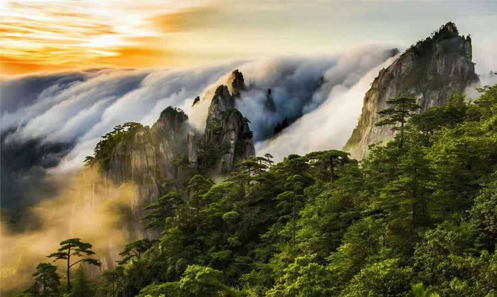 Top Rated Shanghai to Huangshan Mountain Day Trip | From Shanghai to ...