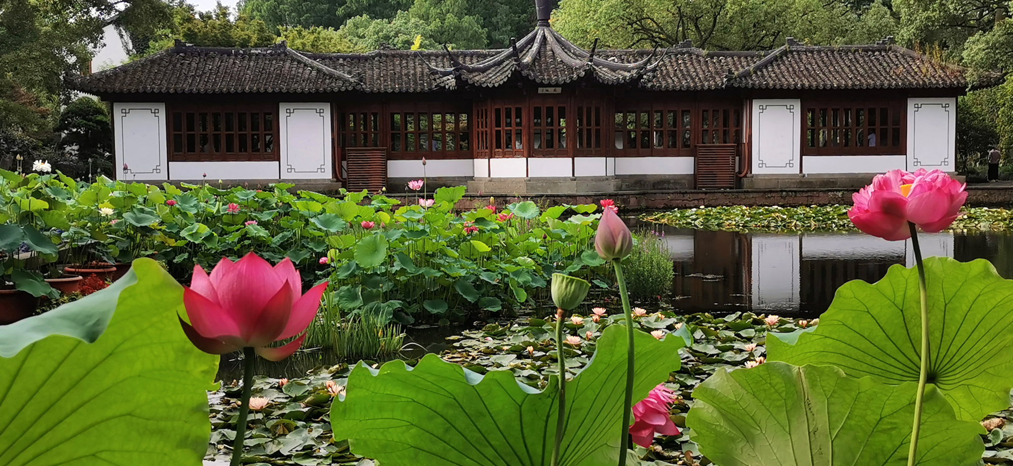 Hangzhou Day Trip: Discover Spring’s Beauty with Our Tour Package