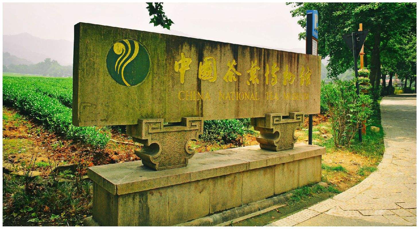 Half day Hangzhou Tea Tour: China National Tea Museum, Meijiawu Tea ...